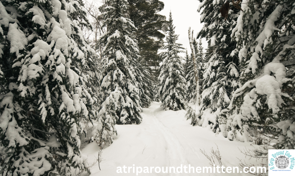 JANUARY MICHIGAN FESTIVALS AND EVENTS - A Trip Around The Mitten