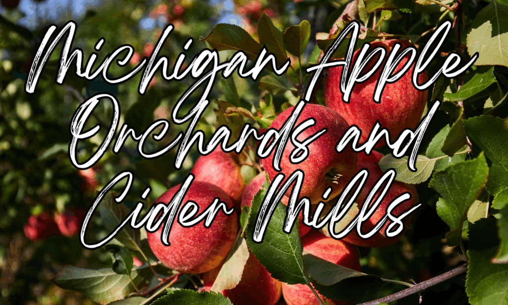 The Best Apple Orchards and Cider Mills in Michigan! - A Trip Around ...